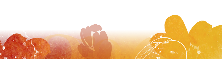 How can we help you?